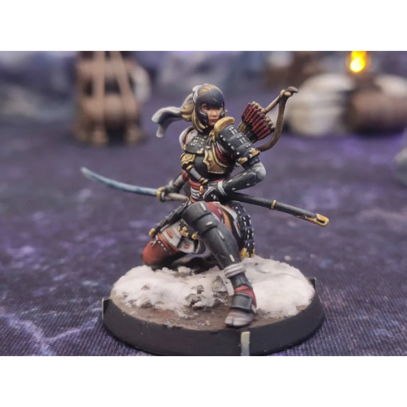 Reinforcements Pack: Imperial Banner